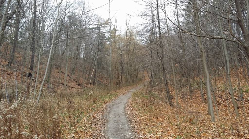 Hiking the Doris McCarthy Trail...just inside Scarborough