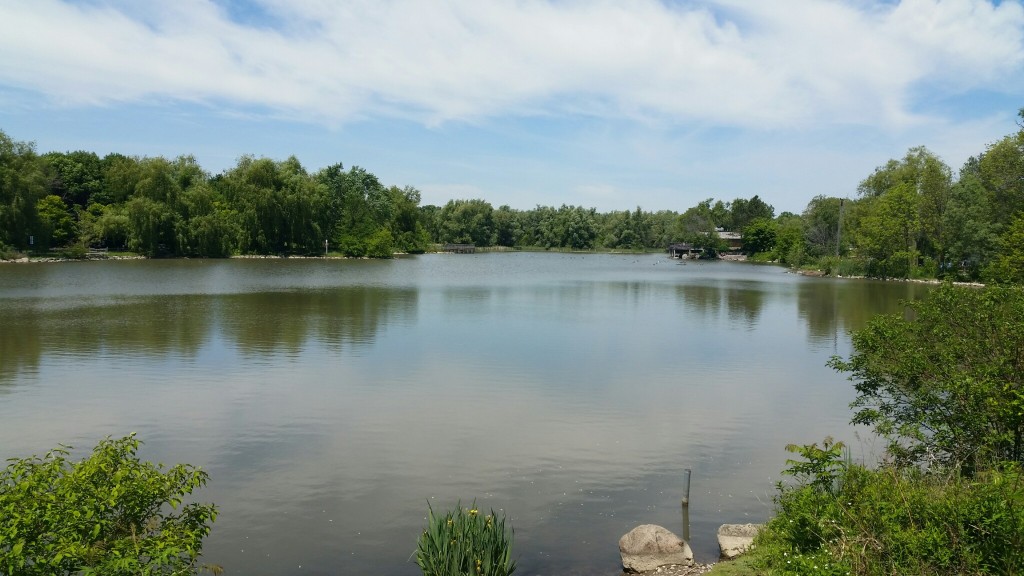 10 things to do in Main Street Unionville